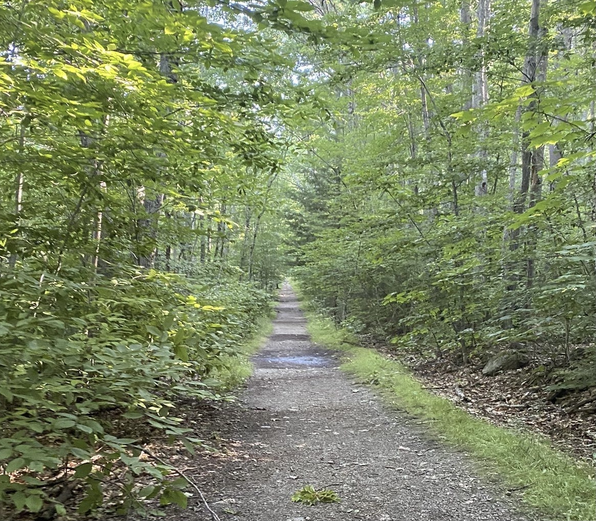 The Megunticook Trail Festival - Perennial Endurance Coaching ...